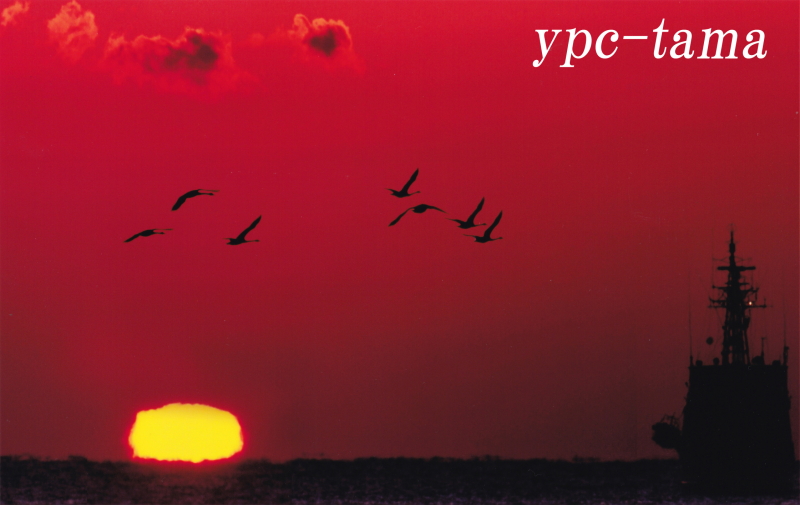 多摩読売写真クラブ（多摩YPC):2022年度表彰